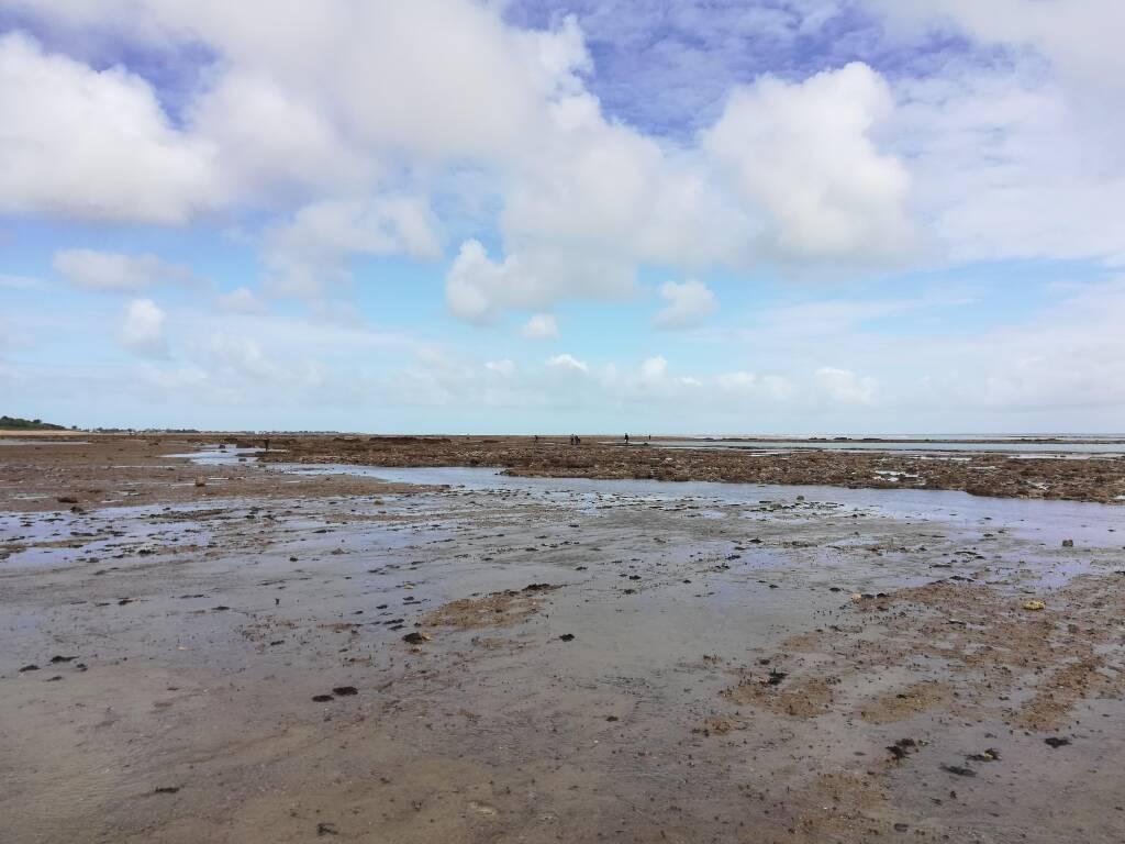 Vivre avec les aléas climatiques sur l'île d'Oléron - Manifestations - IOMN